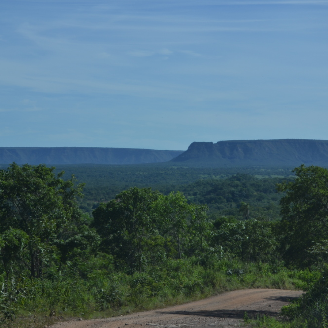 Cerrado: o santuário das cavernas brasileiras